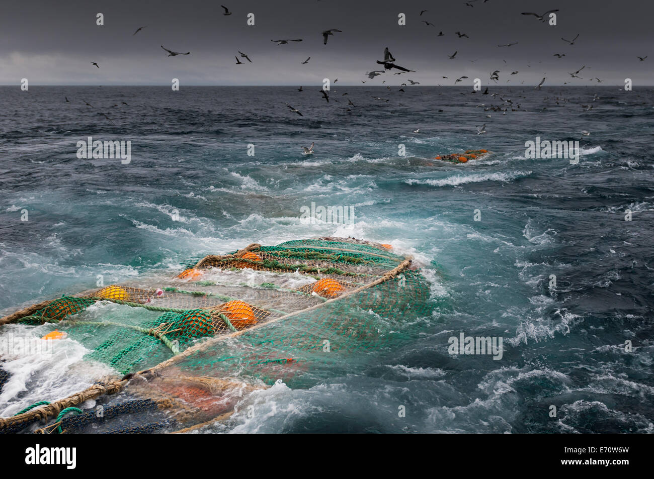Pollack fishing in the Bering Sea - July 2014 Stock Photo - Alamy