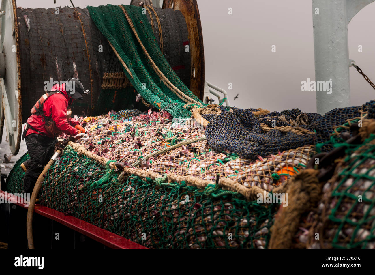 Pollack fishing in the Bering Sea - July 2014 Stock Photo - Alamy