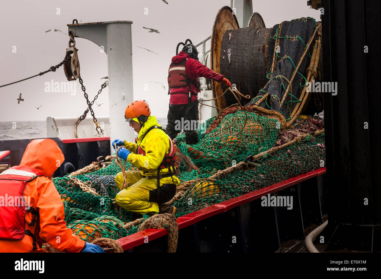 Pollack fishing in the Bering Sea - July 2014 Stock Photo - Alamy