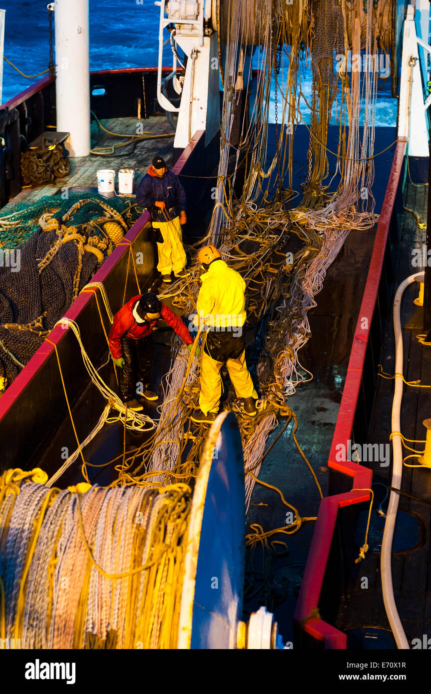 Pollack fishing in the Bering Sea - July 2014 Stock Photo - Alamy