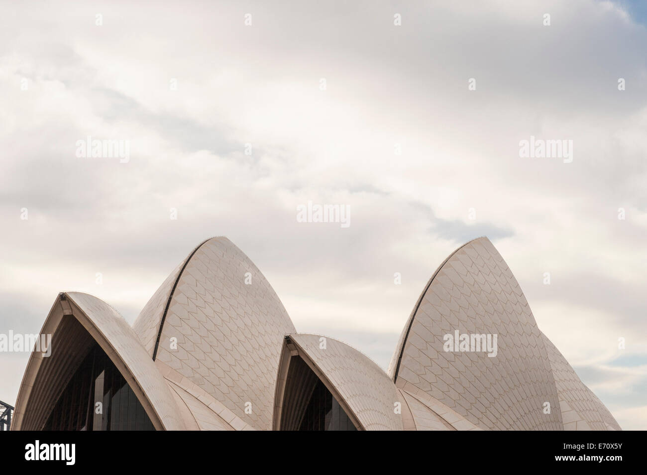 Detail of Sydney Opera House sails Sydney Australia Stock Photo - Alamy