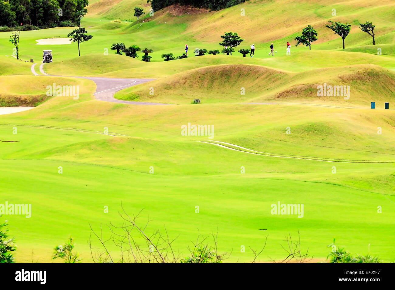 Beautiful golf place with nice background for adv or others purpose use ...