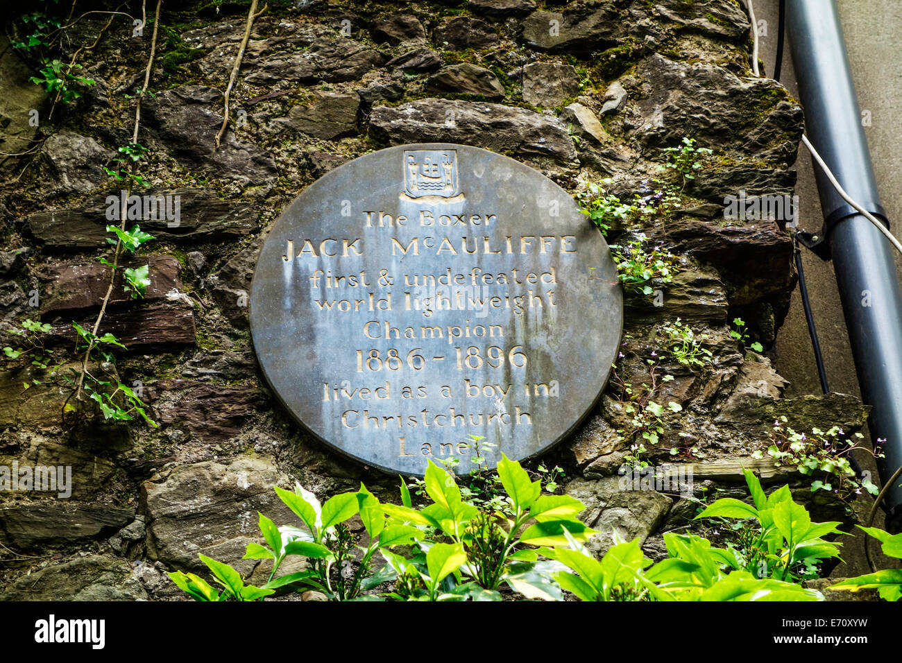 A plaque to boxer Jack Mcauliffe in Cork, Ireland Stock Photo - Alamy