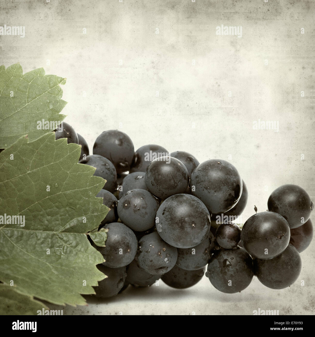 textured old paper background with dark grapes Stock Photo - Alamy