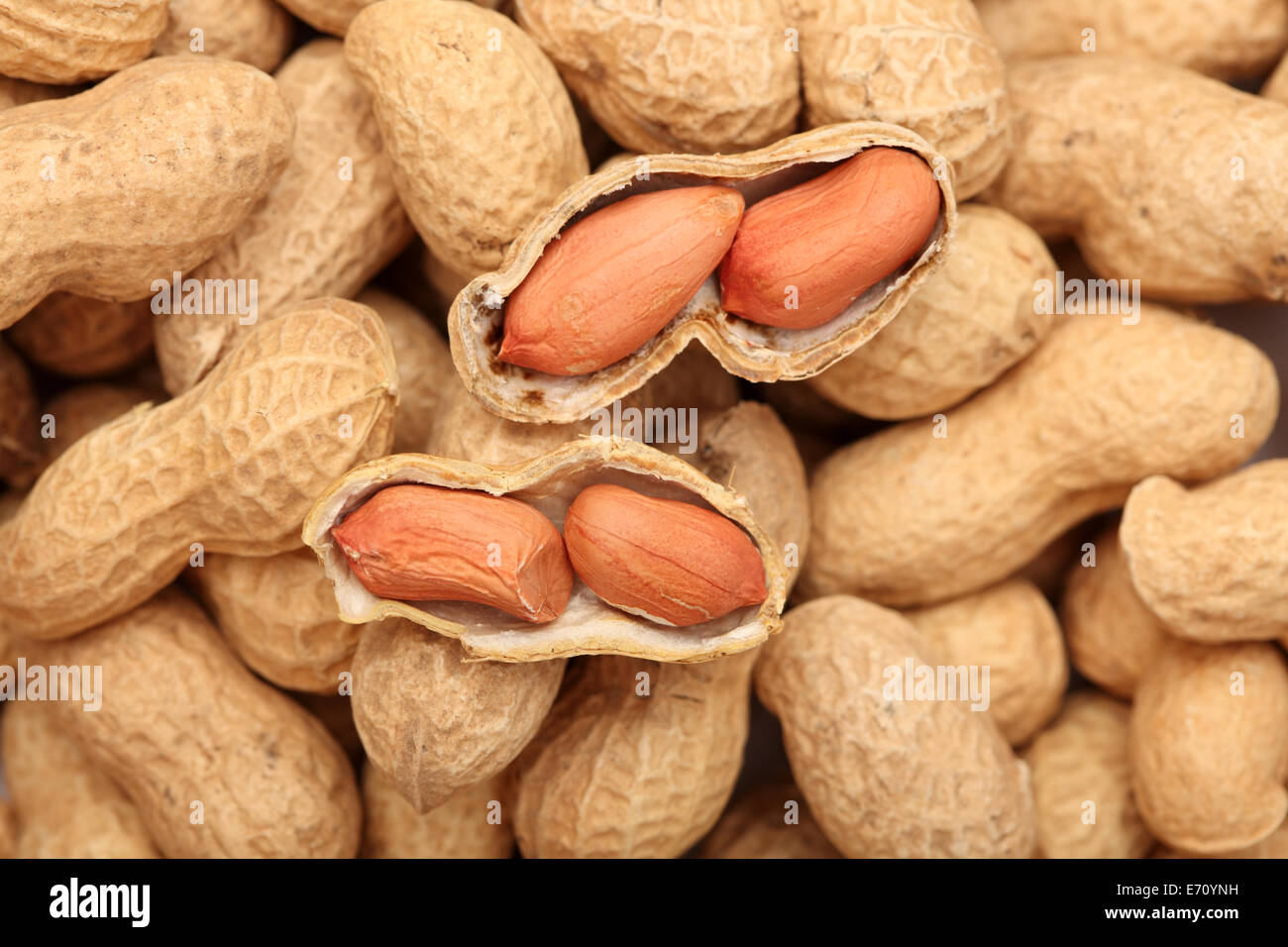 Two open peanuts on a peanut background. Closeup Stock Photo - Alamy