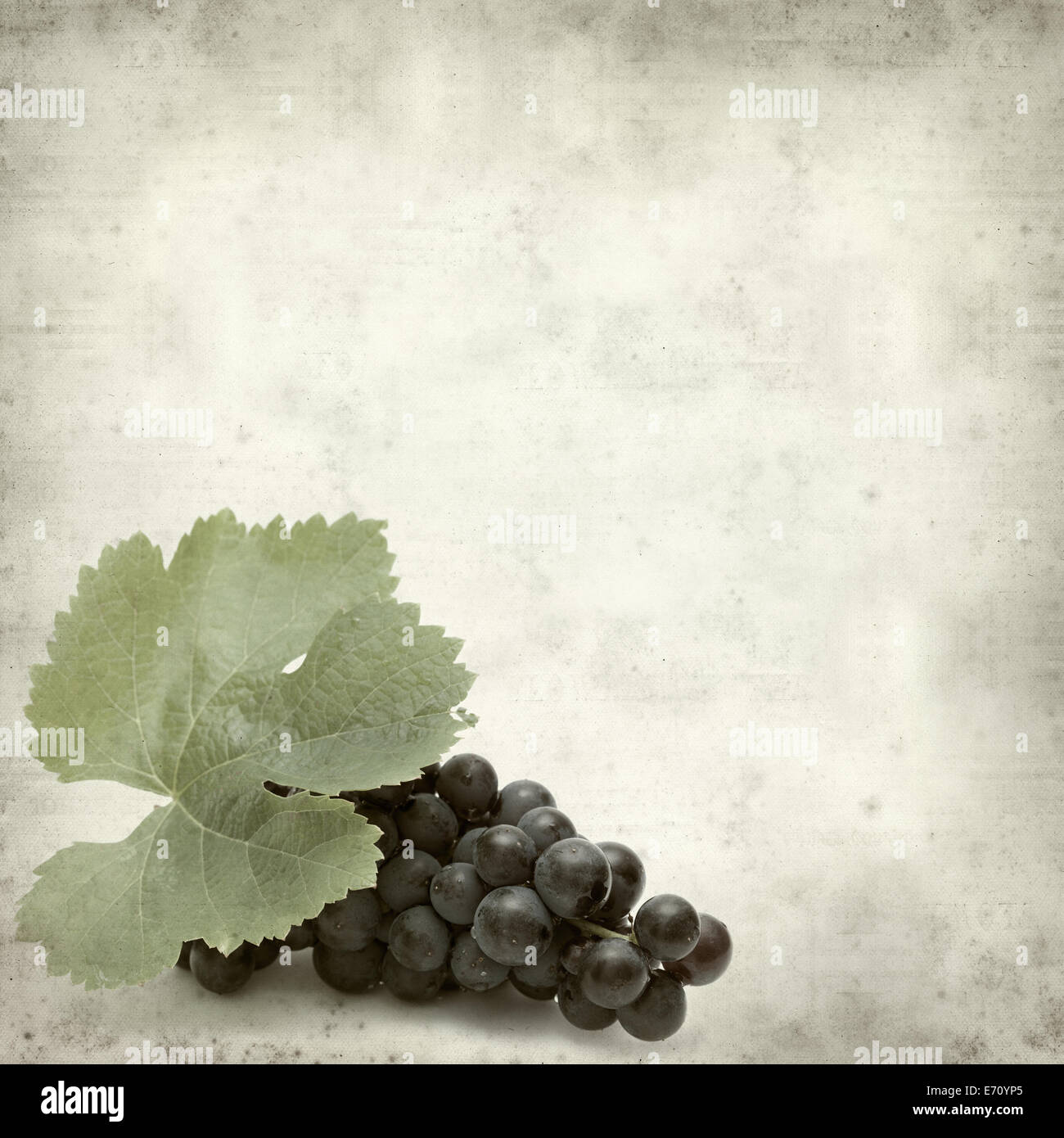 textured old paper background with dark grapes Stock Photo - Alamy