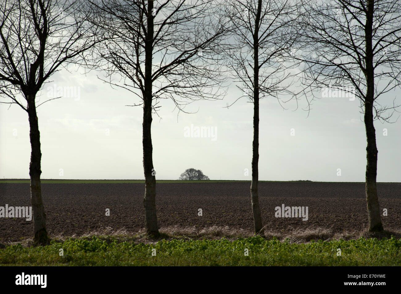 Somme battlefield 1916 explosion hi-res stock photography and images ...