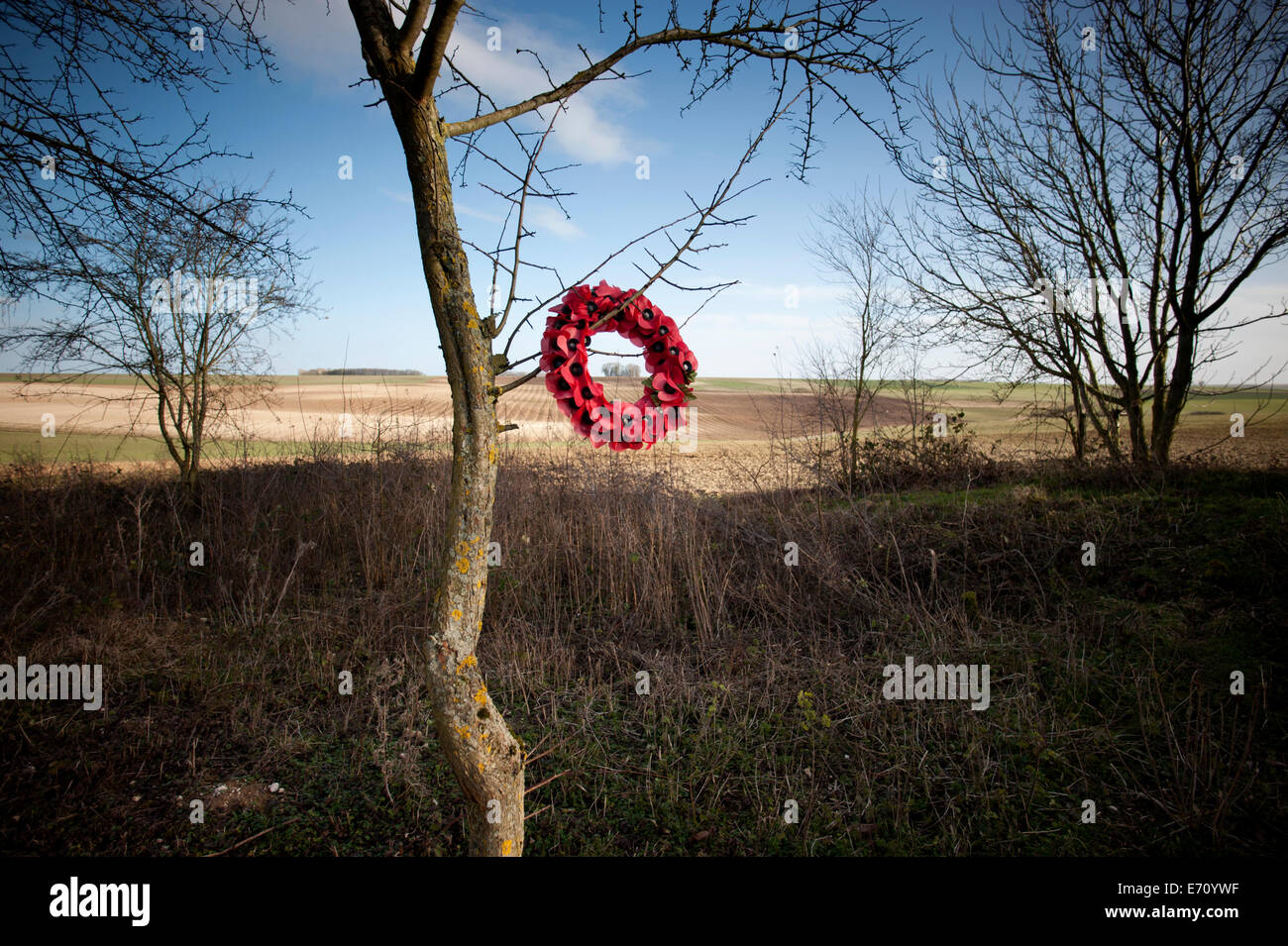 Somme battlefield 1916 explosion hi-res stock photography and images ...