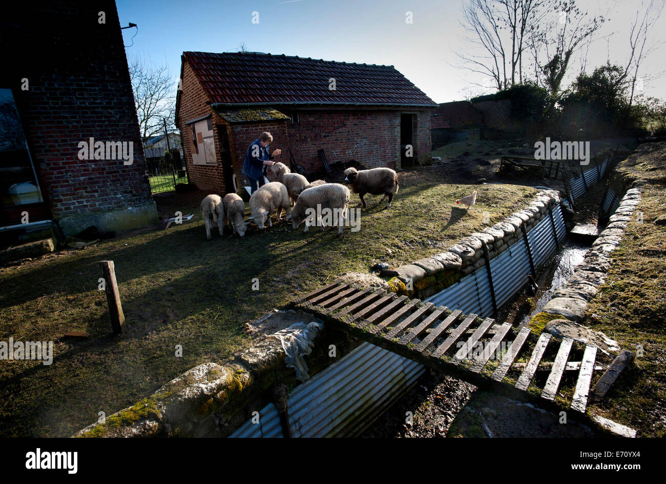 Preserved ww1 trench france hi-res stock photography and images - Alamy