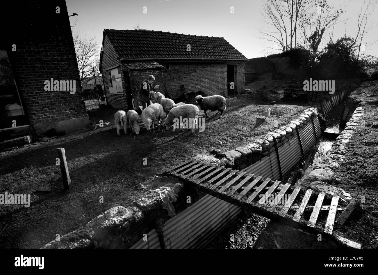 Somme WW1 Battlefield, July 1st-November 1916, France. Auchonvillers ...