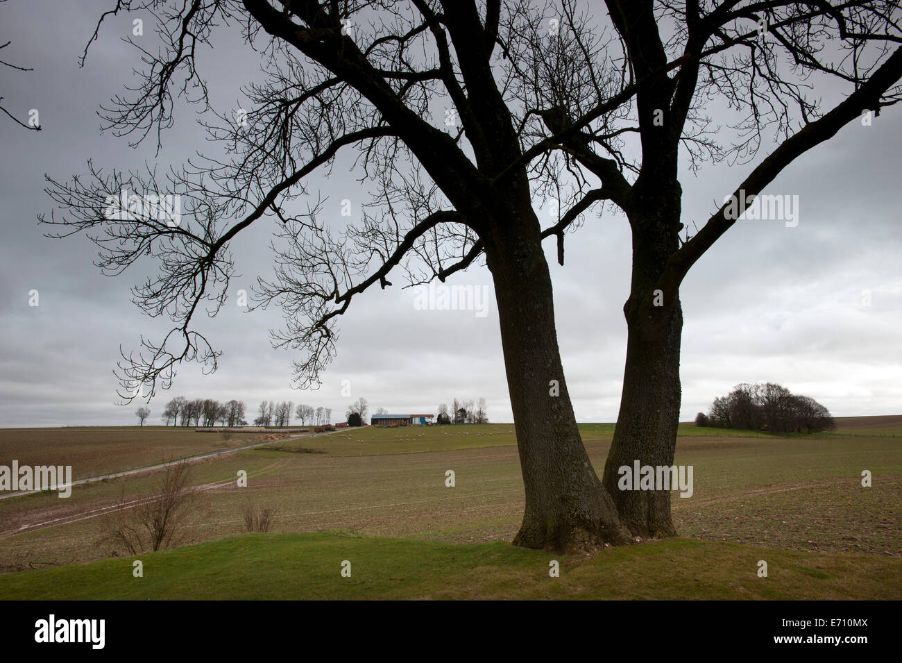 Somme WW1 Battlefield, July 1st-November 1916, France. Mouquet Farm ...
