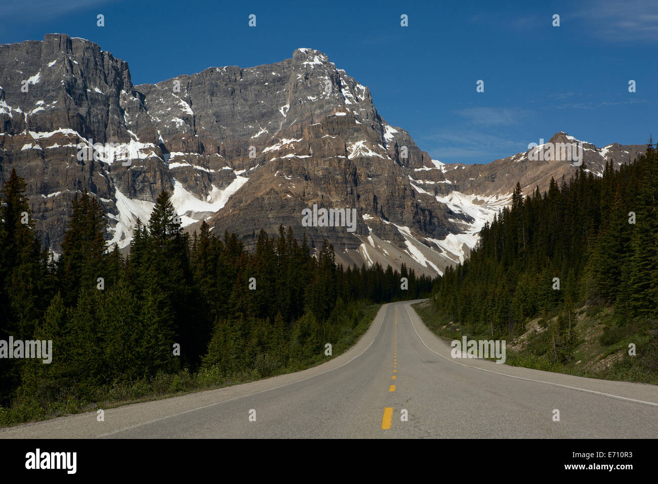 road through the pine forest leading to mountain cliffs Stock Photo - Alamy