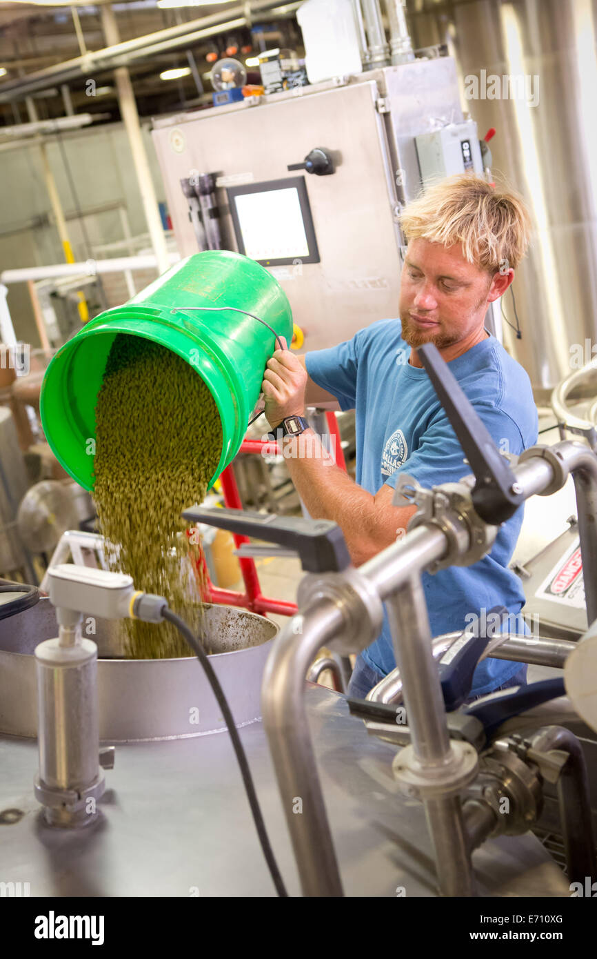Joshua is mashing in malt at the Ballast Point Brewing Company, a micro ...
