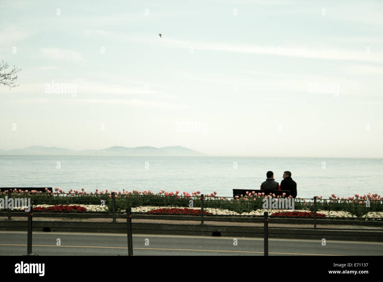 Two man talking in Istanbul, Turkey Stock Photo - Alamy