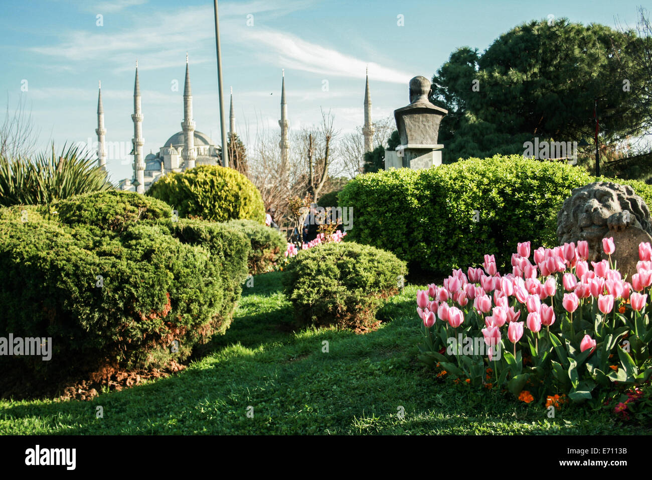 Sophia spring hi-res stock photography and images - Alamy