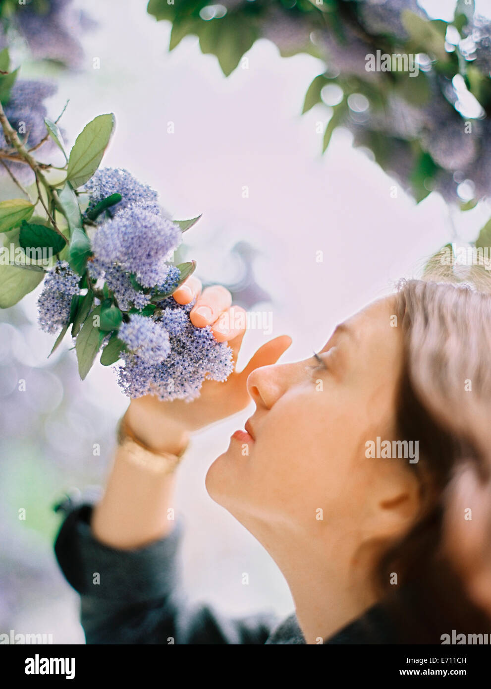Pulling flower hi-res stock photography and images - Alamy