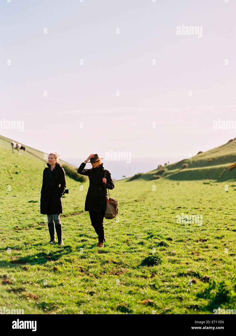 Two people on a coastal headland walking side by side Stock Photo - Alamy