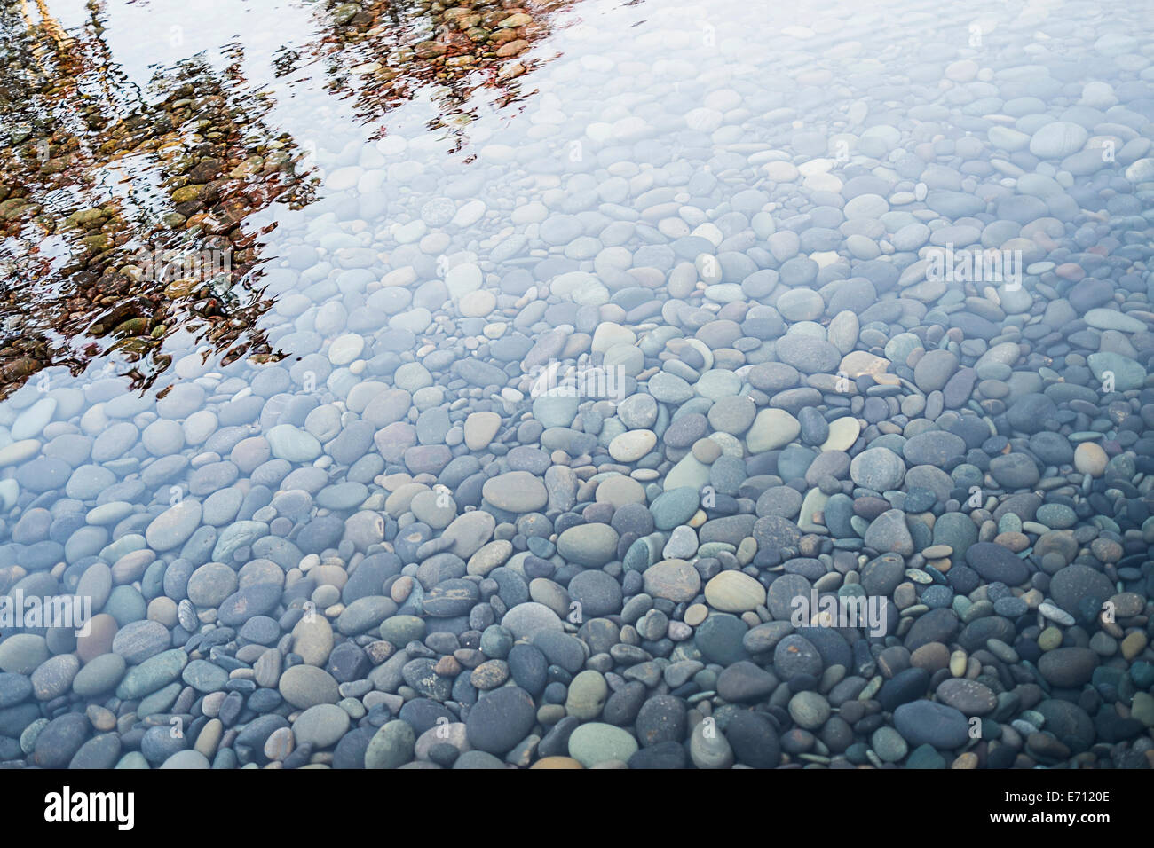 Pebbles on a river bed. Reflections and ripples on the surface Stock ...