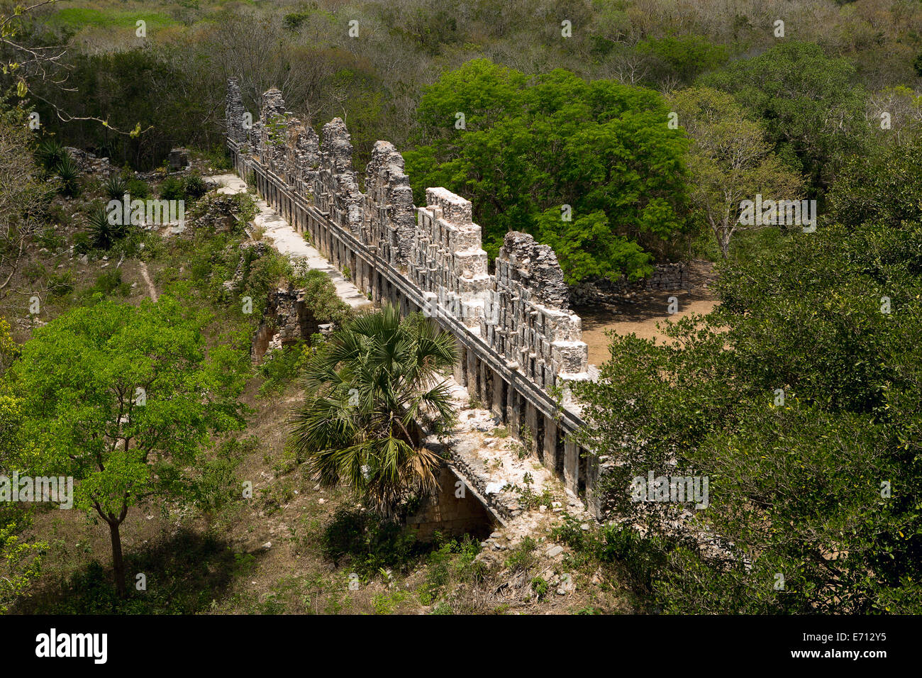 Mayan temple ruins in the tropical jungle Stock Photo - Alamy