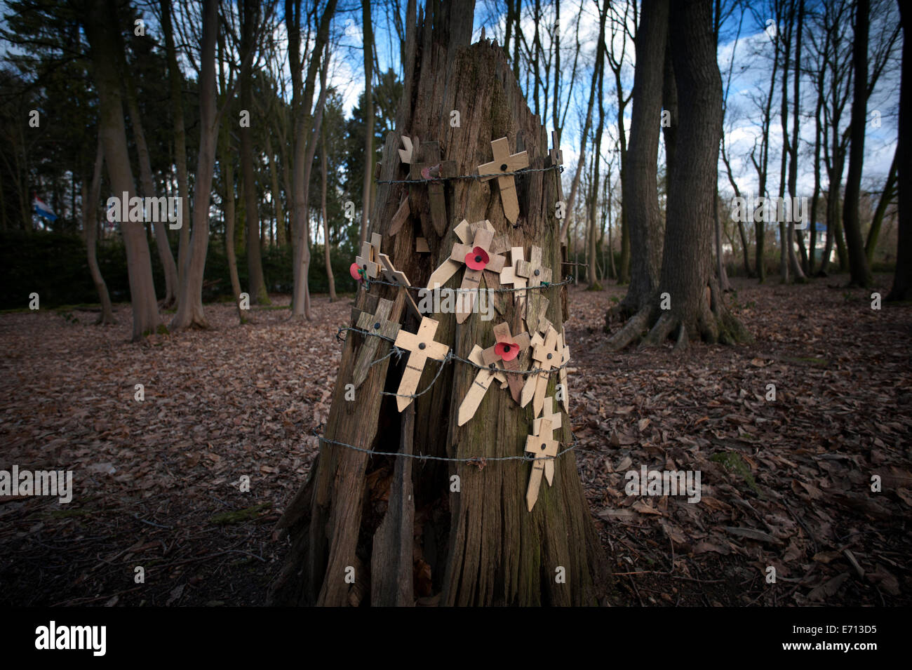 Ypres ieper ww1 battlefield 1914 1918 belgium hill hi-res stock ...