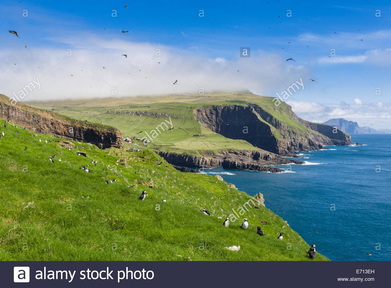 Mykines Faroe Islands Stock Photos & Mykines Faroe Islands Stock Images ...