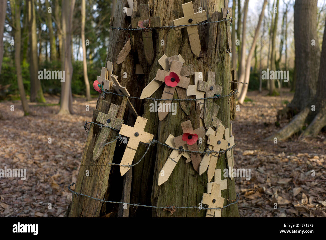 Ypres ieper ww1 battlefield 1914 1918 belgium hill hi-res stock ...