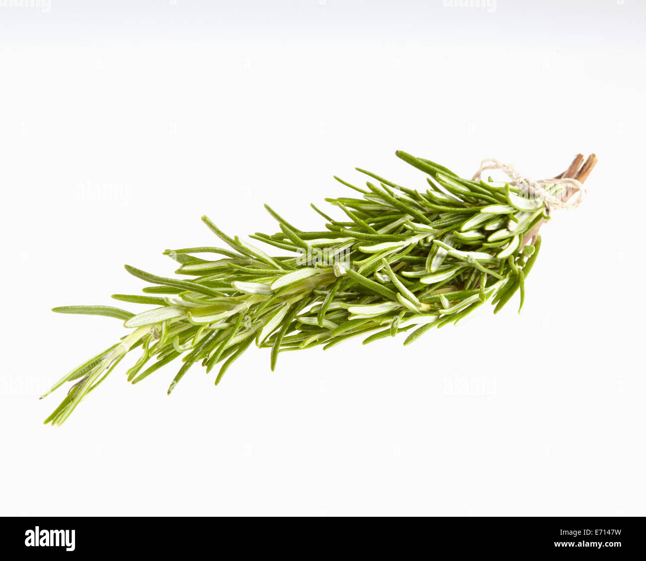 Bunch of rosmary, Rosmarinus Officinalis Stock Photo - Alamy