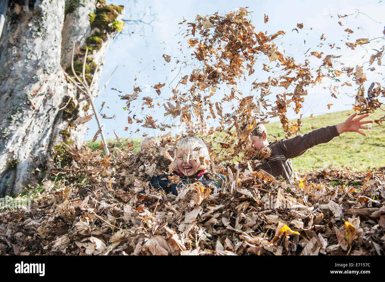 Leaf heap hi-res stock photography and images - Alamy