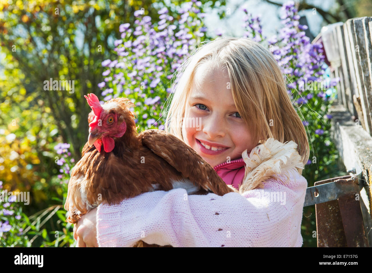 Girl hugging chicken High Resolution Stock Photography and Images - Alamy