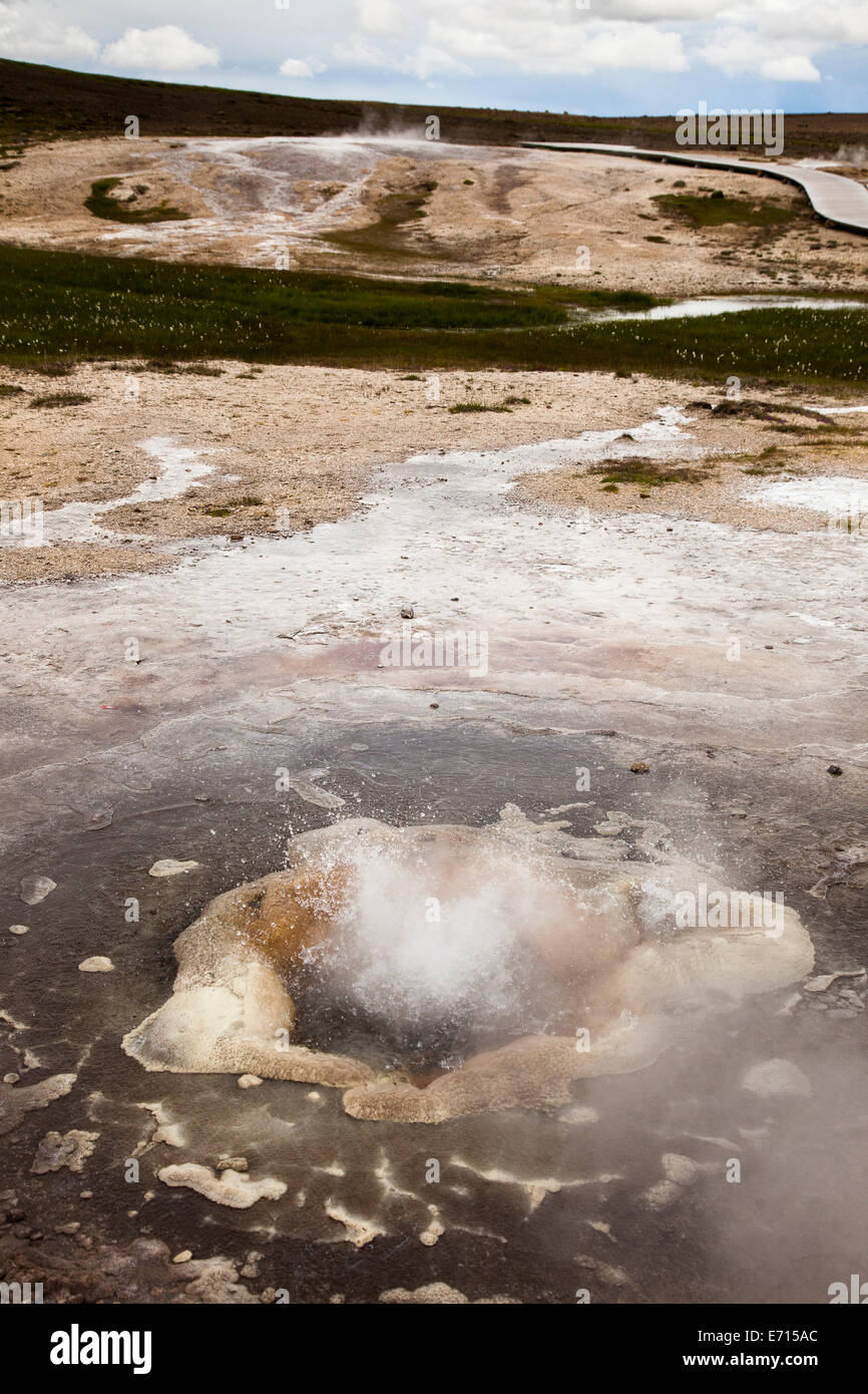 Island, Hveravellir, Hot Spring, Geothermal area Stock Photo - Alamy