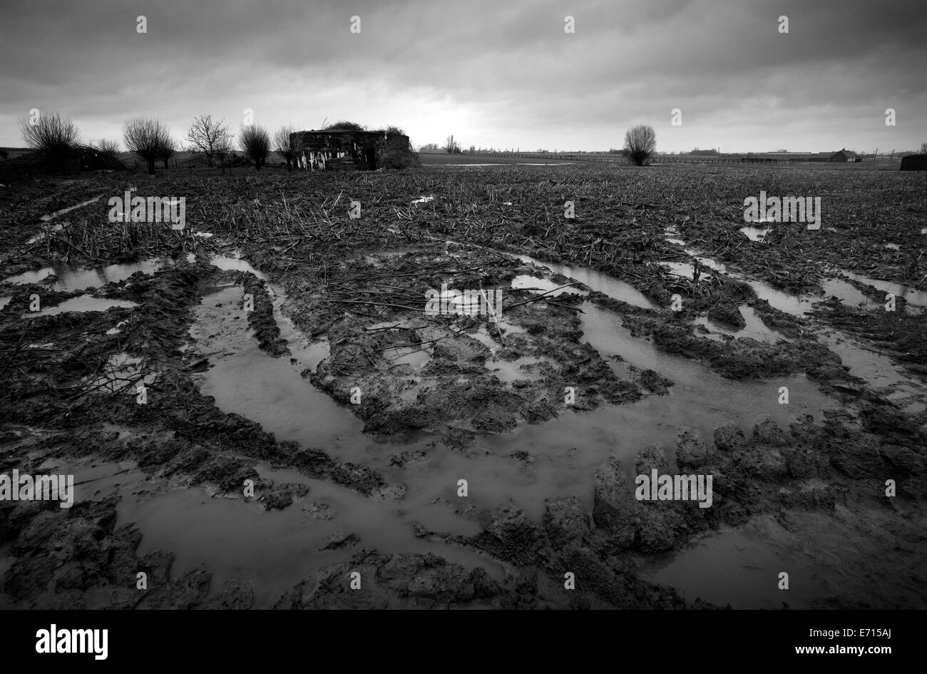 Ypres-Ieper WW1 Battlefield, 1914-1918, Belgium. German Pillbox near ...