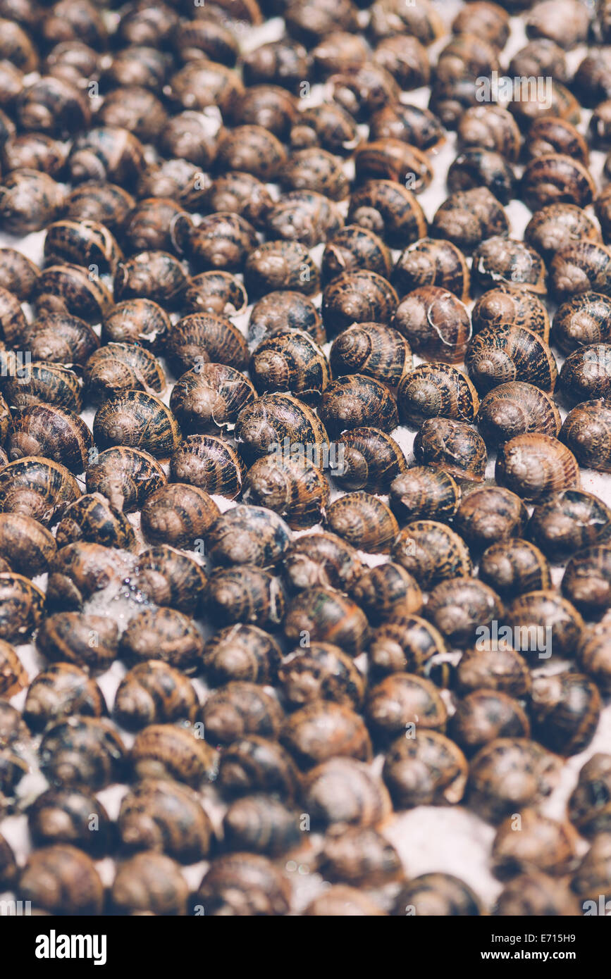 Spain, Cooking snails Stock Photo - Alamy