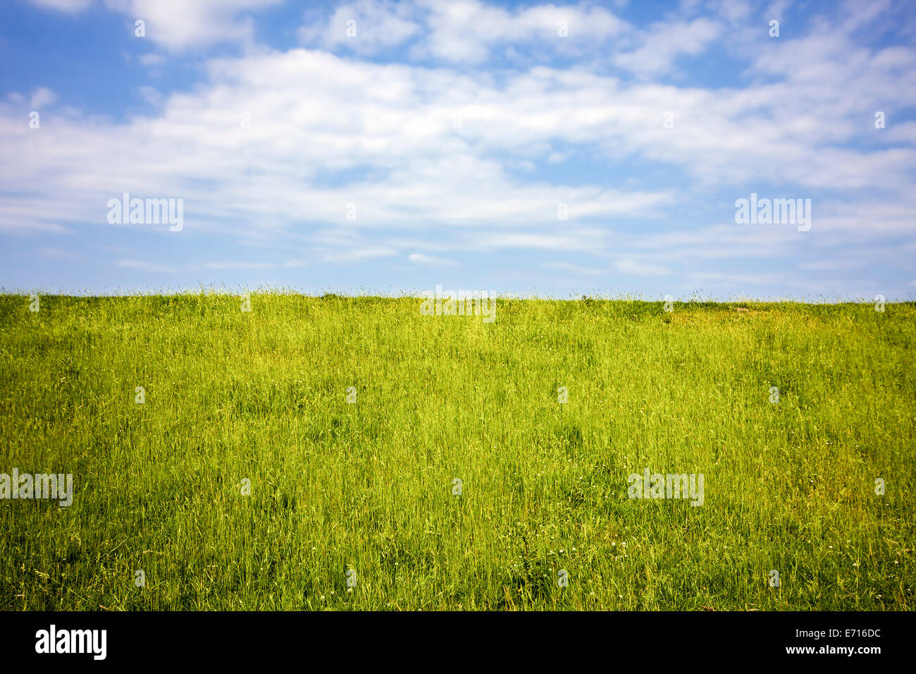 Germany, View of sky over field Stock Photo - Alamy