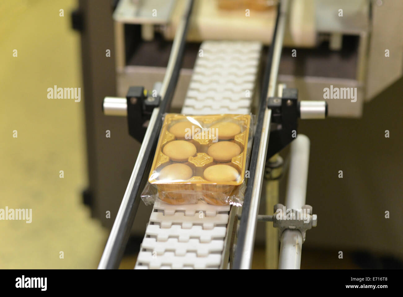 Germany, Saxony-Anhalt, production line with blister pack of cookies in ...