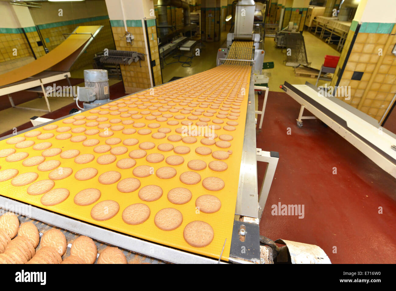 Germany, Saxony-Anhalt, production lines with cookies in a baking ...