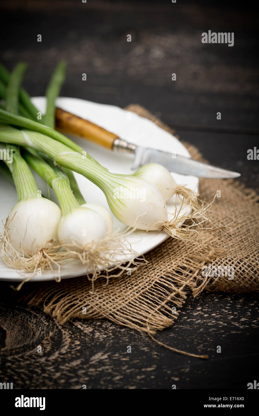 Spring onions and knife on plate Stock Photo - Alamy