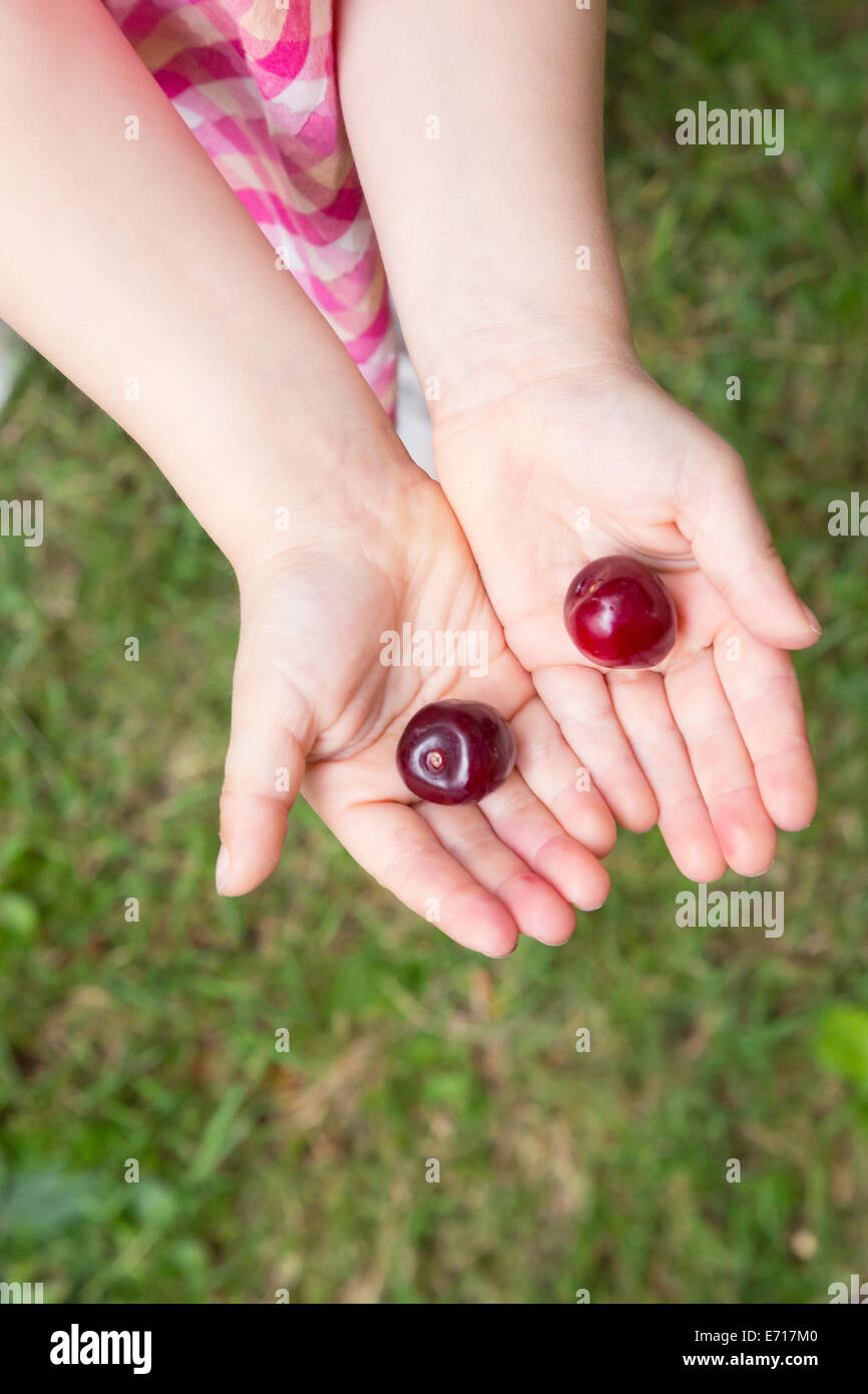 Hands of little girl holding two cherries Stock Photo - Alamy