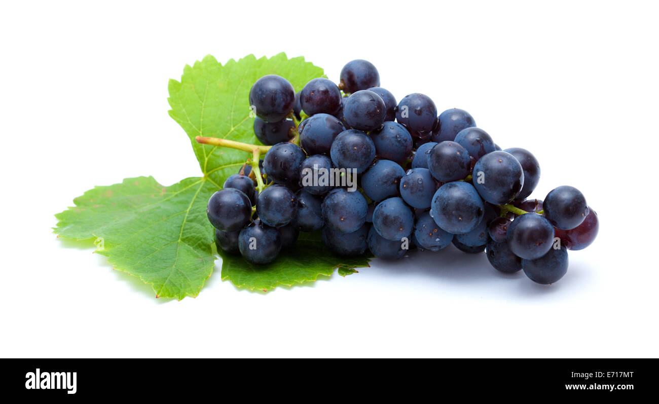 Black grapes bloom hi-res stock photography and images - Alamy