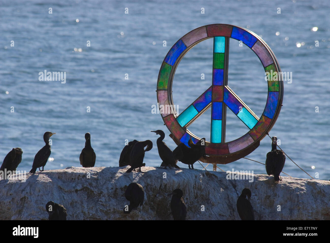 Ocean With Peace Signs