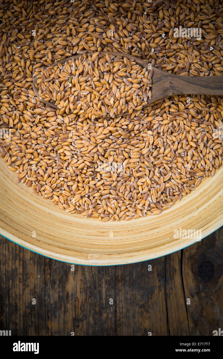 Emmer in bowl as grain hi-res stock photography and images - Alamy