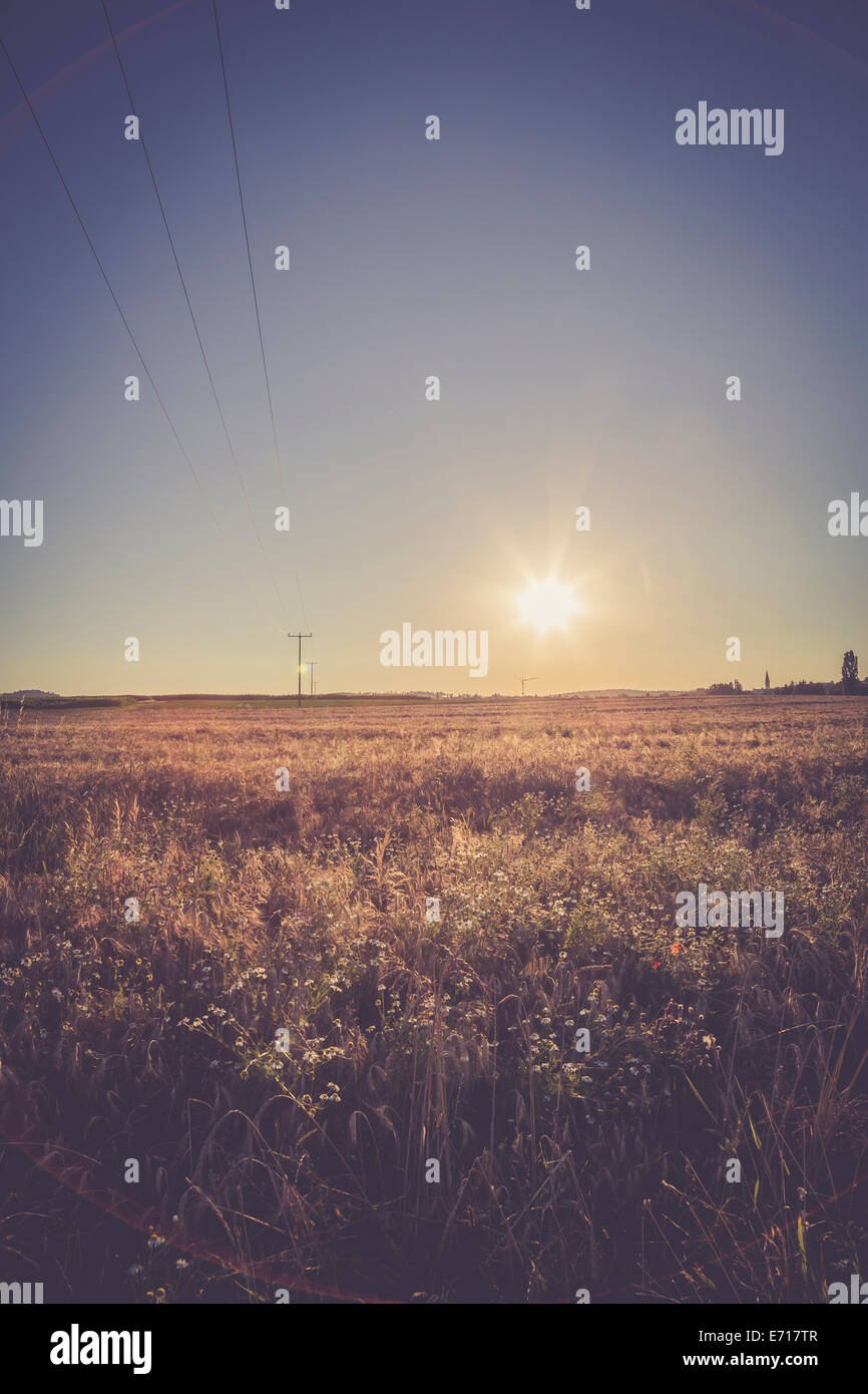 Fields at evening twilight Stock Photo - Alamy