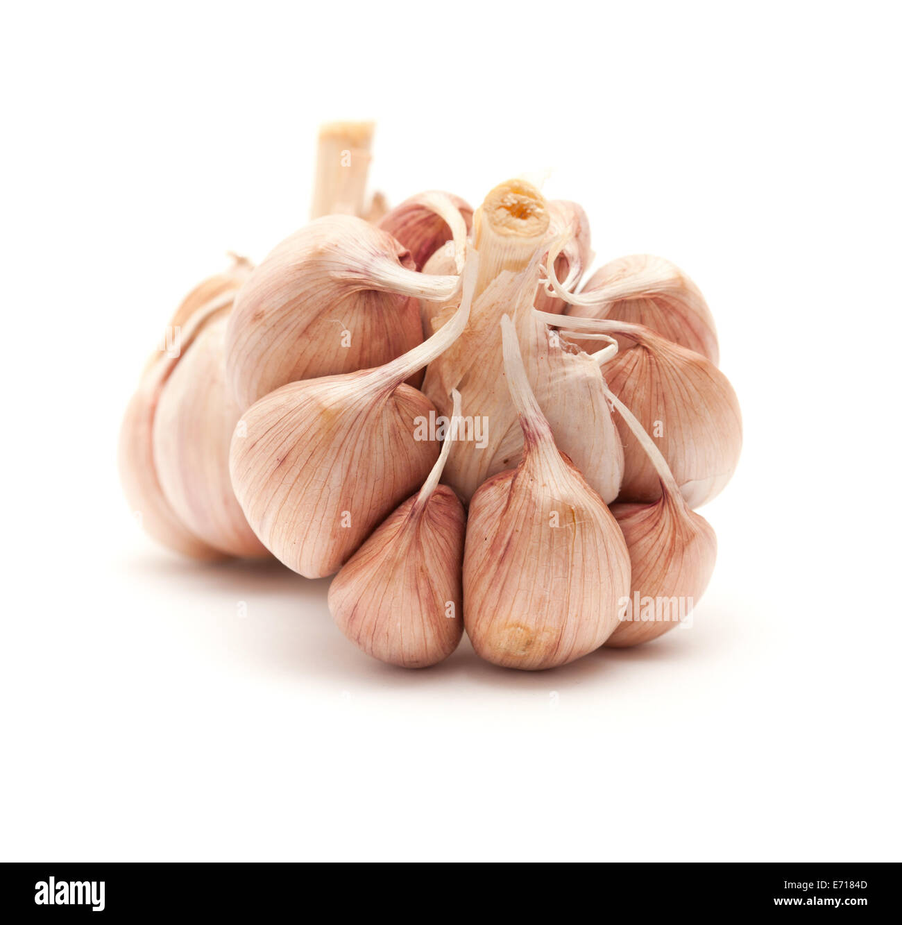 Large bulbs hi-res stock photography and images - Alamy