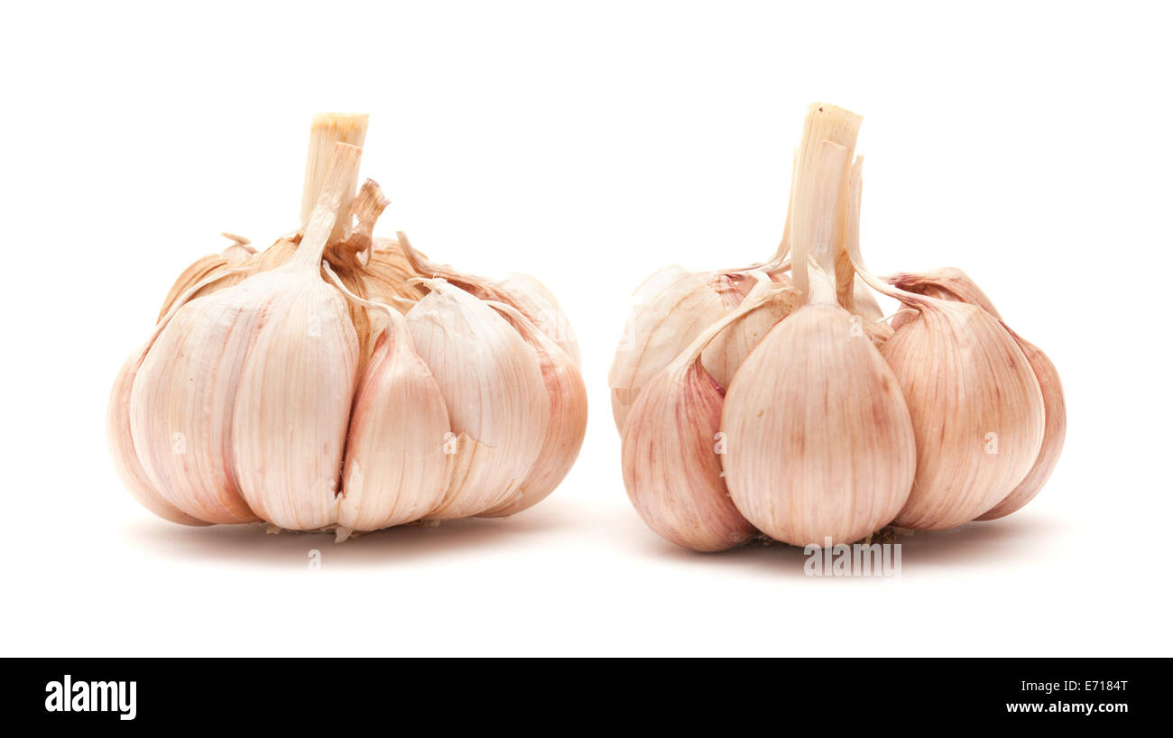 large bulbs of garlic isolated Stock Photo - Alamy