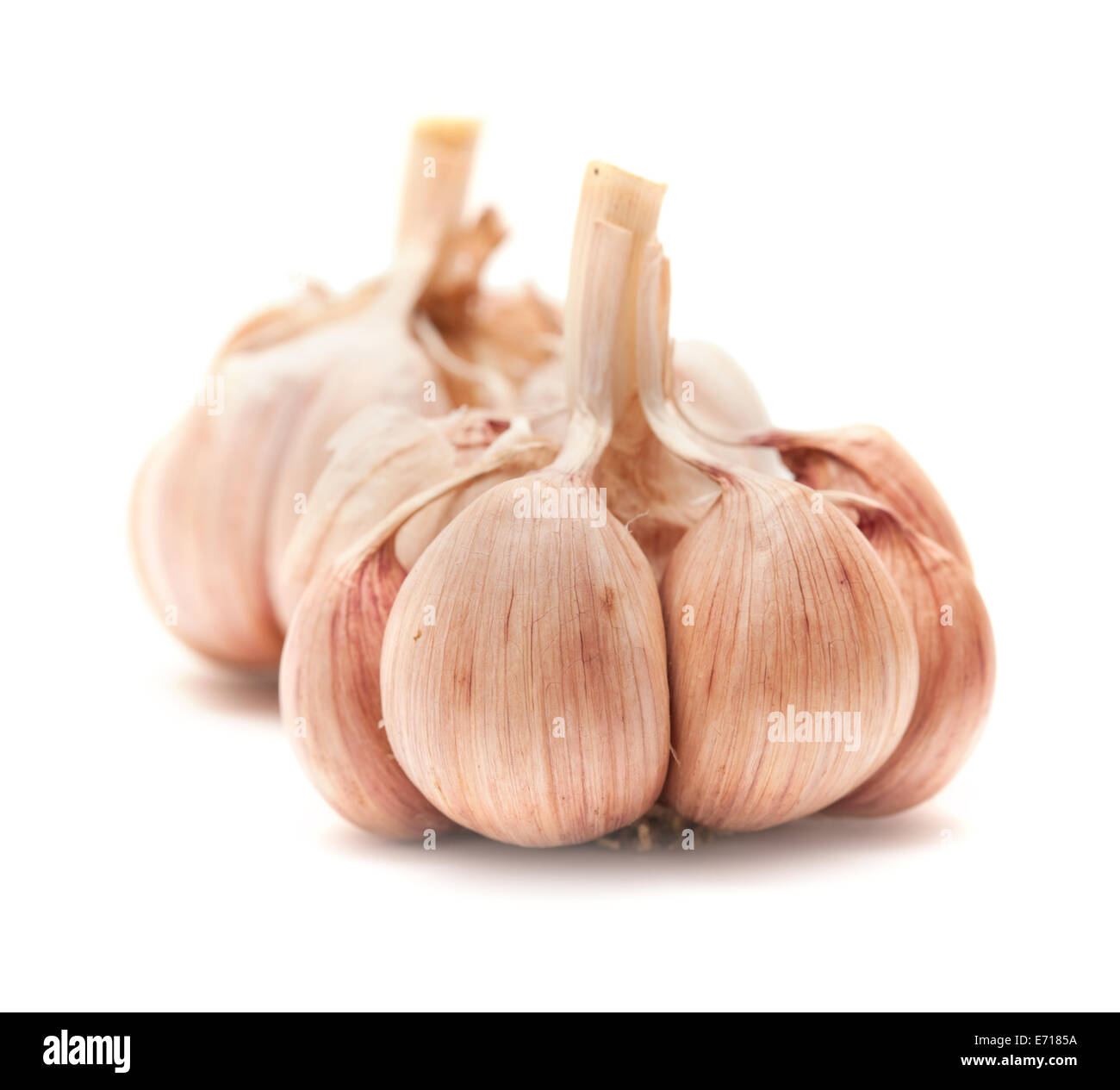 large bulbs of garlic isolated Stock Photo - Alamy