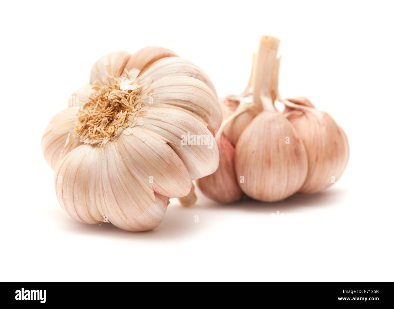 large bulbs of garlic isolated Stock Photo - Alamy