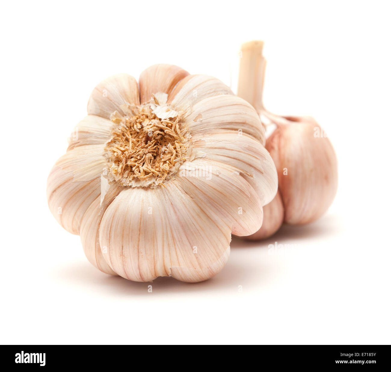 large bulbs of garlic isolated Stock Photo - Alamy