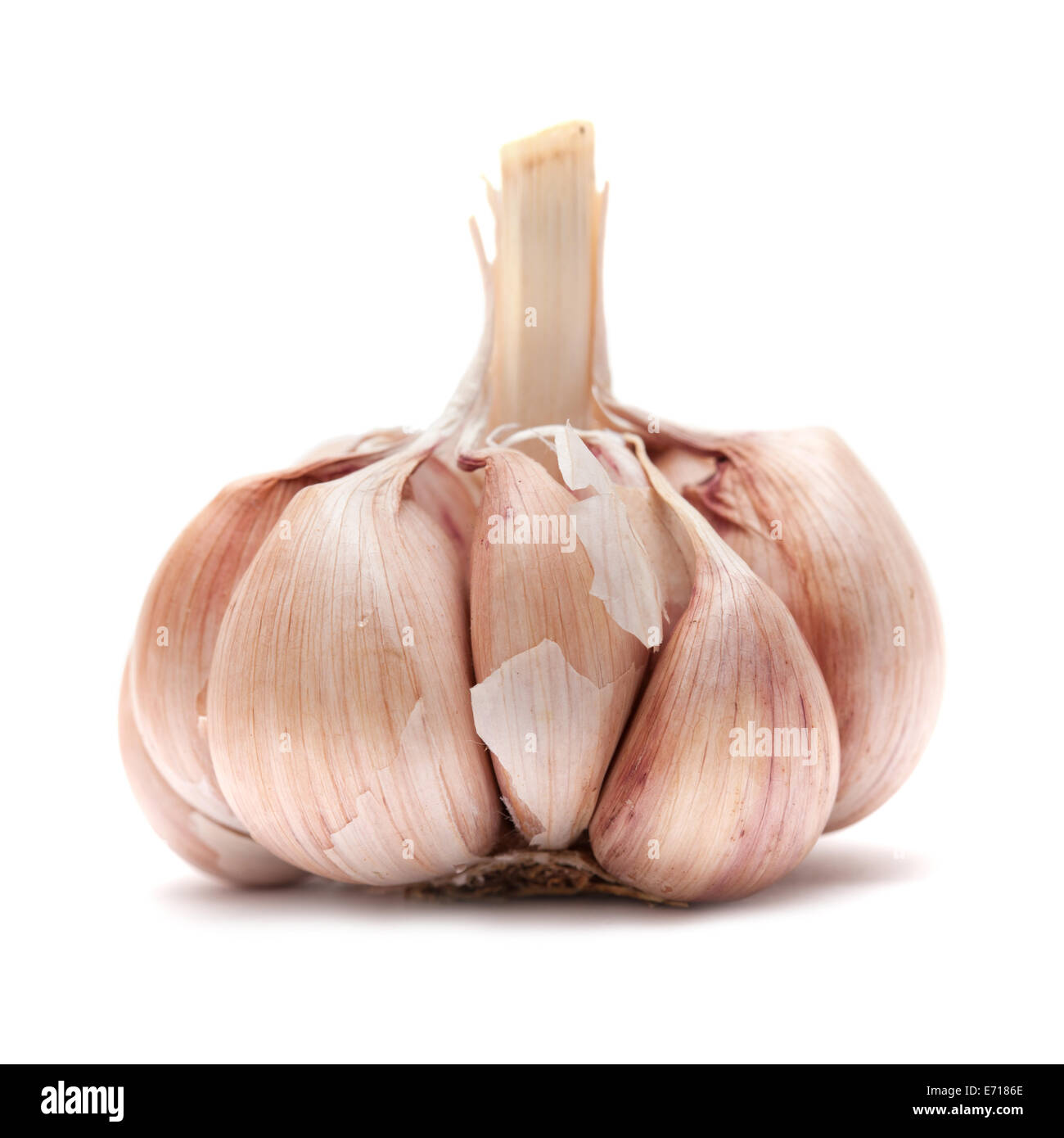 large bulbs of garlic isolated Stock Photo - Alamy