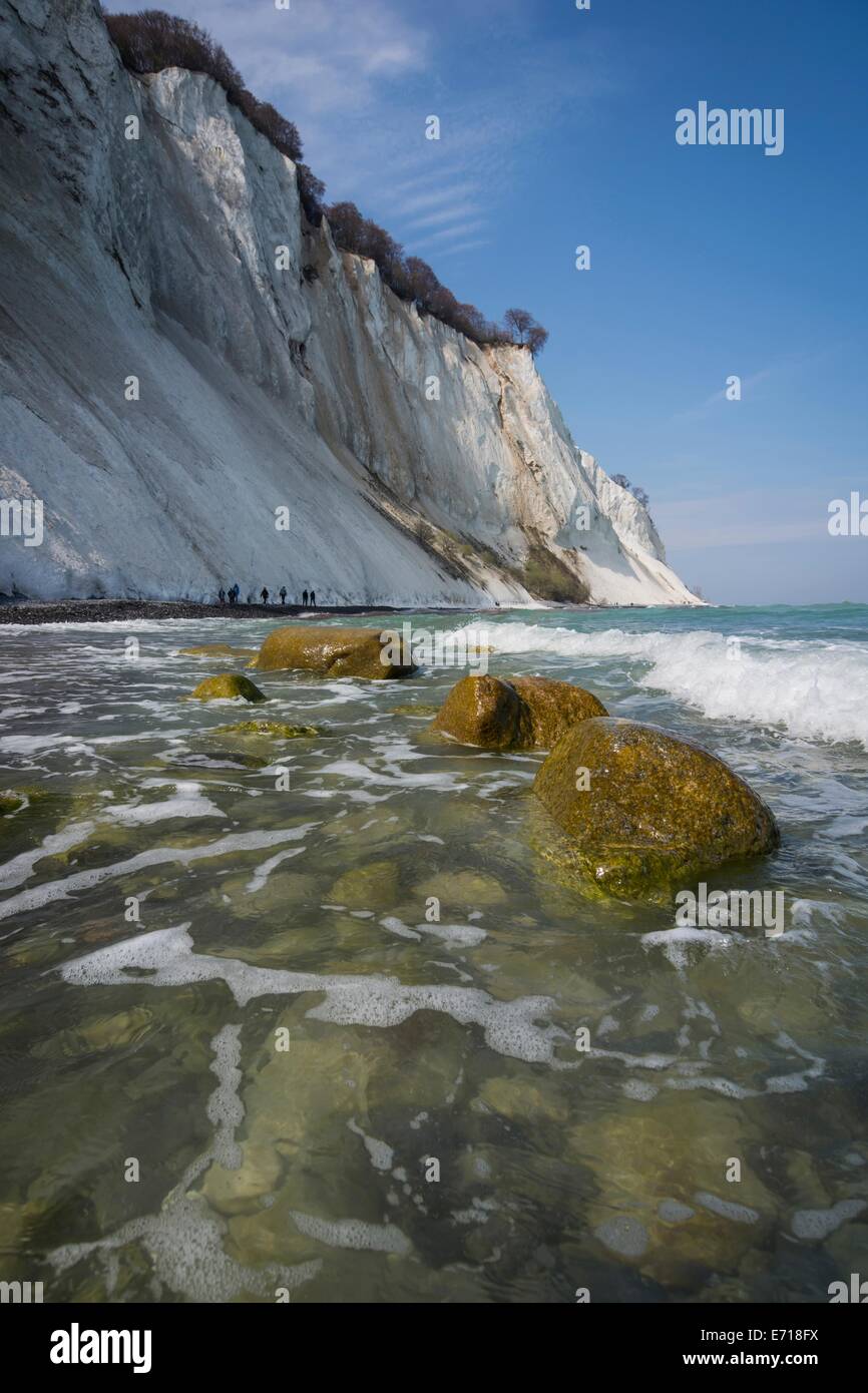 Denmark, Mon Island, Mons Klint, Chalk cliffs Stock Photo - Alamy