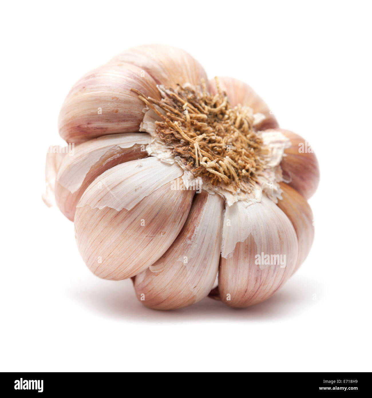large bulbs of garlic isolated Stock Photo - Alamy