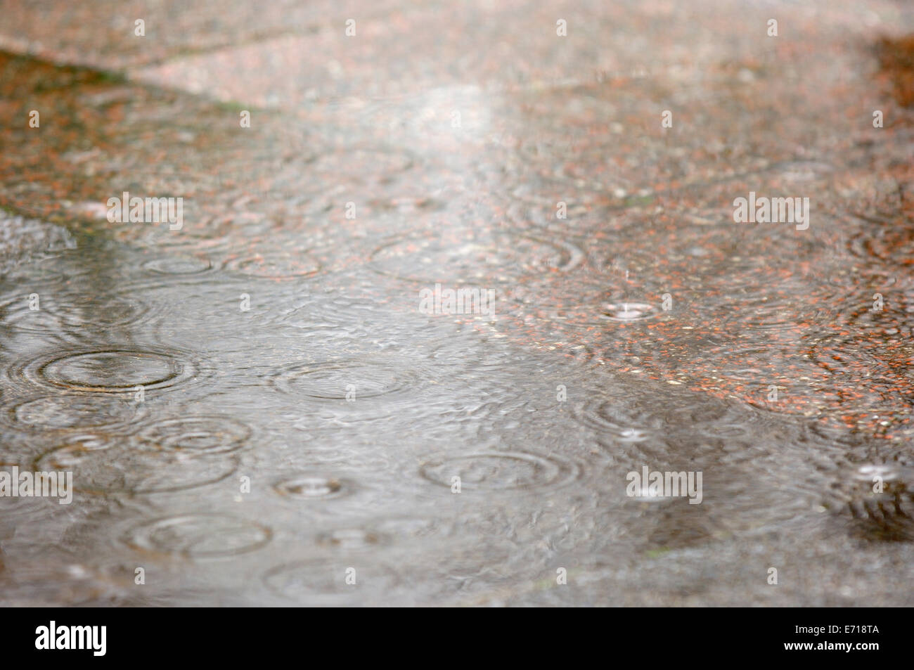 Raindrops falling in a puddle Stock Photo - Alamy